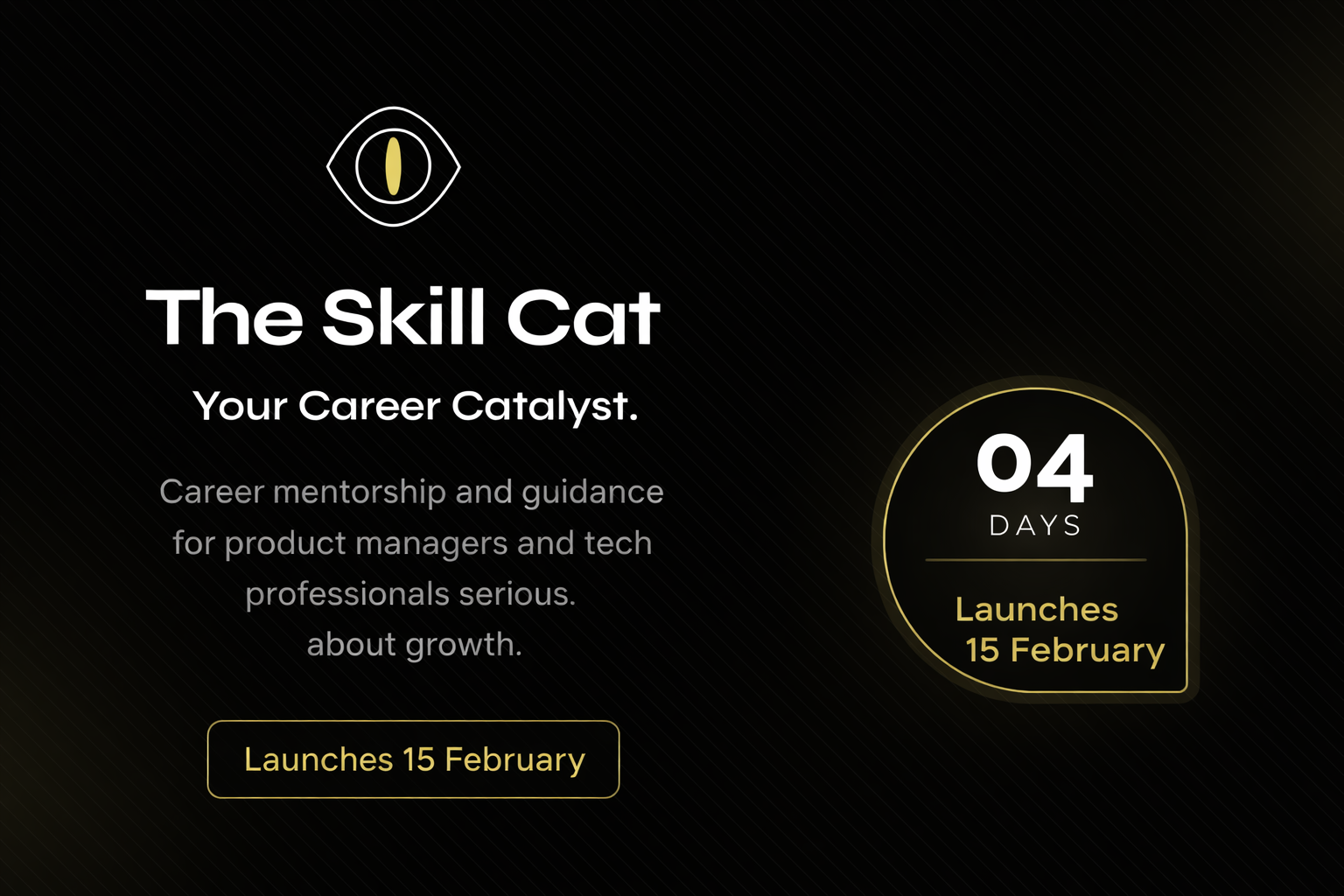 The Skill Cat ~ Your Career Catalyst